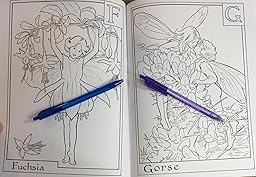 Amazon.com: Flower Fairies Alphabet Coloring Book (9780723264965 ...