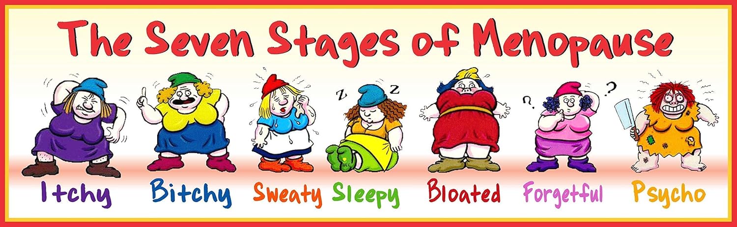 The 7 Stages of Menopause Funny Sign in Style of 7 Dwarfs - Fun Sign ...