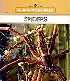 Spiders Are Not Insects (Rookie Read-About Science: Animals): Allan ...