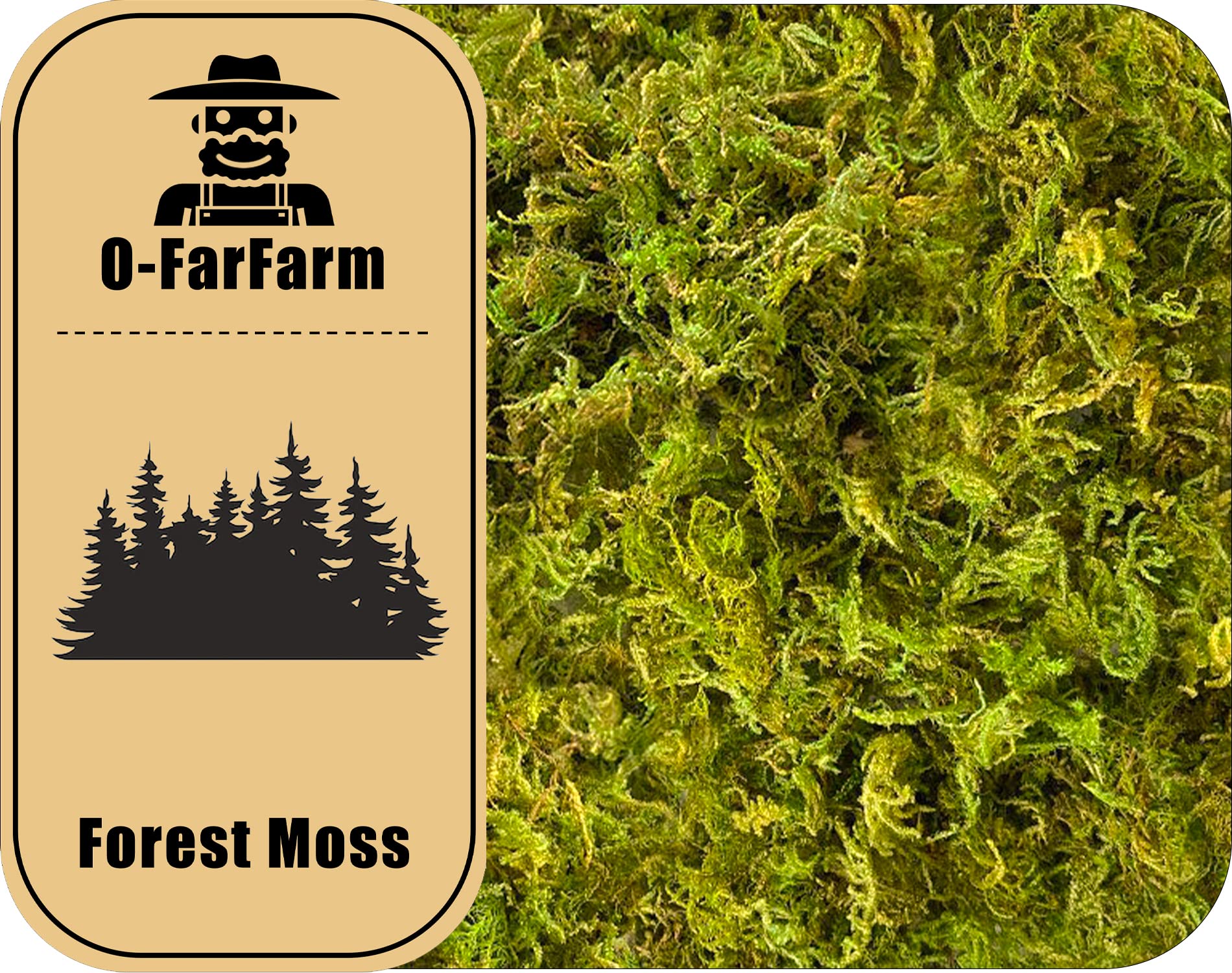 Moss Control Bahrain | Buy Online | Whizz Others
