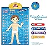 BEST LEARNING i-Poster My Body - Interactive Educational Human Anatomy ...