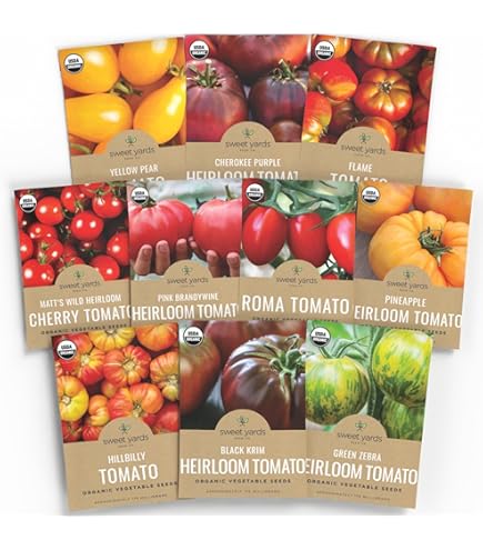 Rare Italian Tree Tomato 15 Seeds 11 Easiest Tomatoes To Grow From