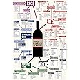Amazon.com: AllPosters Wall Poster Types of Wine Chart, 13x19: Posters & Prints