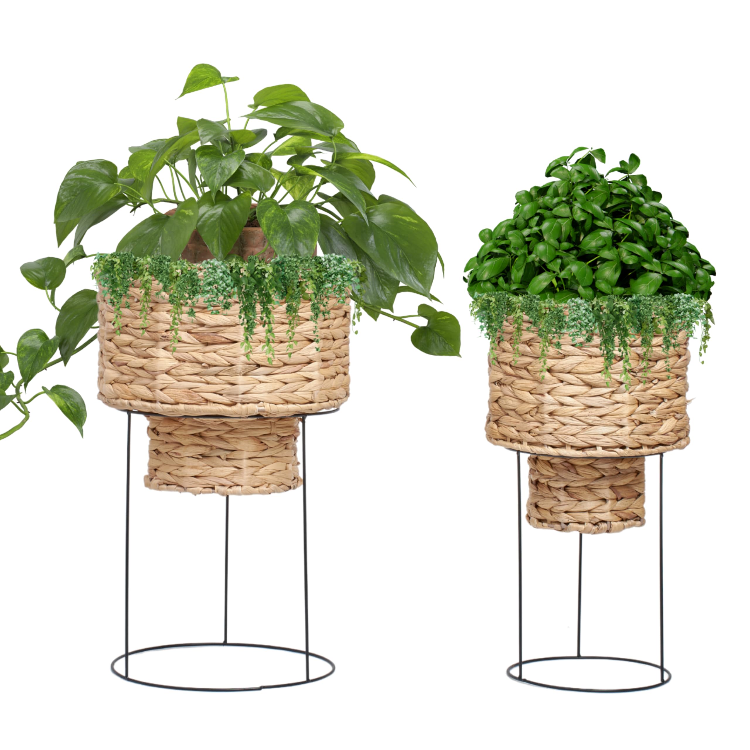 Hallops Indoor Hand-Woven Planter with Stand - Metal and Rattan Plant ...