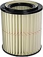 Craftsman 9-17809 Orange Stripe Wet/Dry Vacuum Filter - - Amazon.com