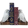 Amazon.com: World of Wonders Wisdom and Wizardry Decorative Owl ...