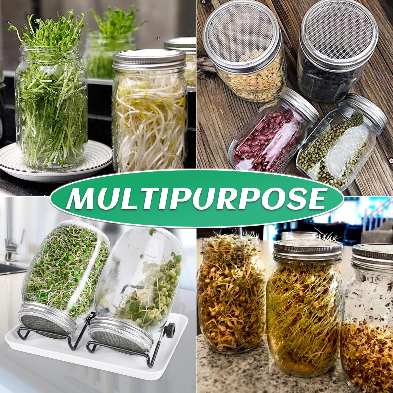 Mua Seed Sprouting Jar Kit with 2 Wide Mouth Mason Jars Bean Sprouts ...