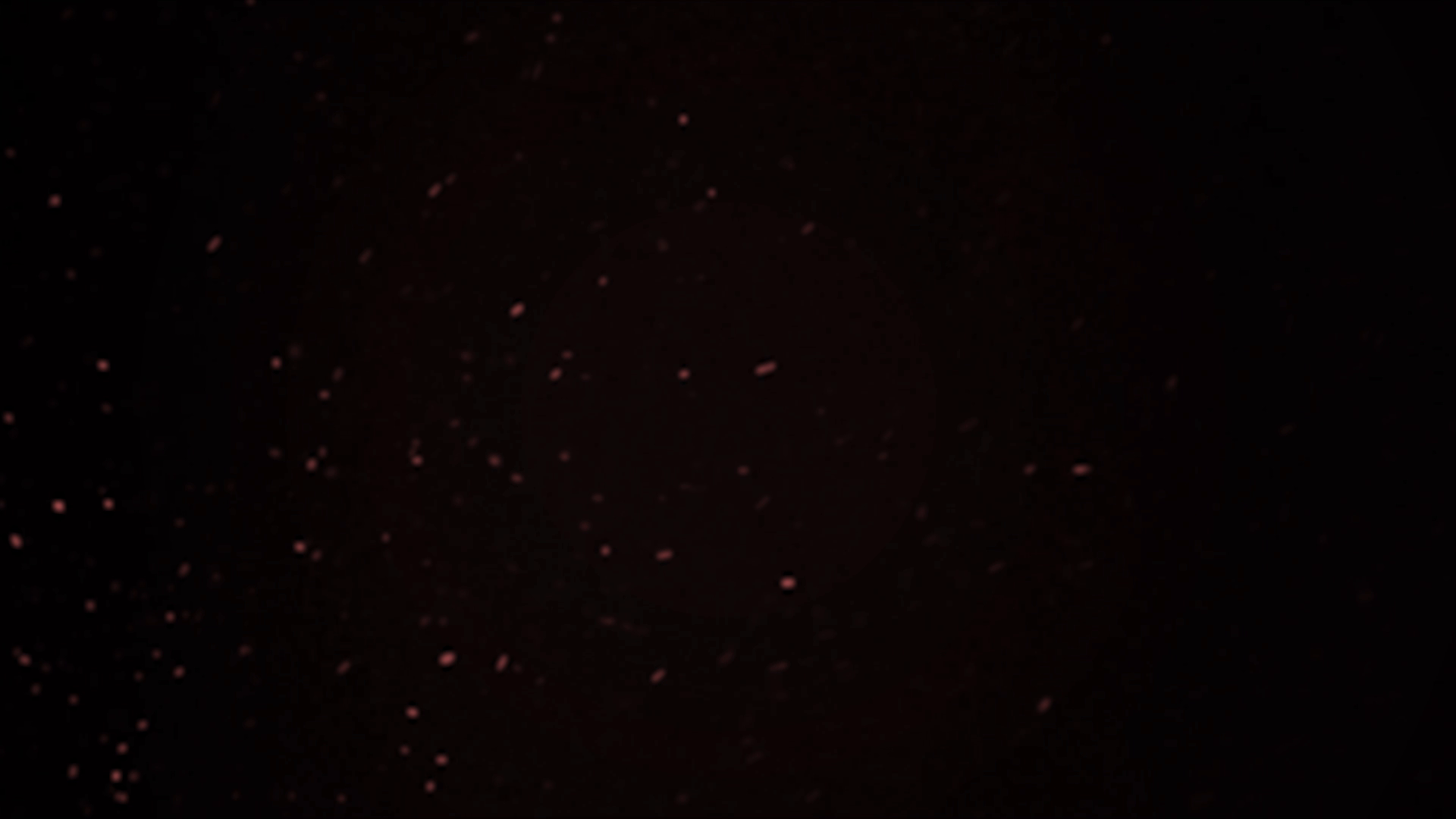 Psy High 2: High Summer - App on Amazon Appstore