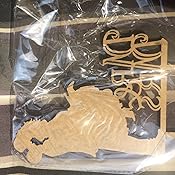 Buy MTV Aviator Men's Sunglass (MTV-123|C14 58|Blue) at Amazon.in