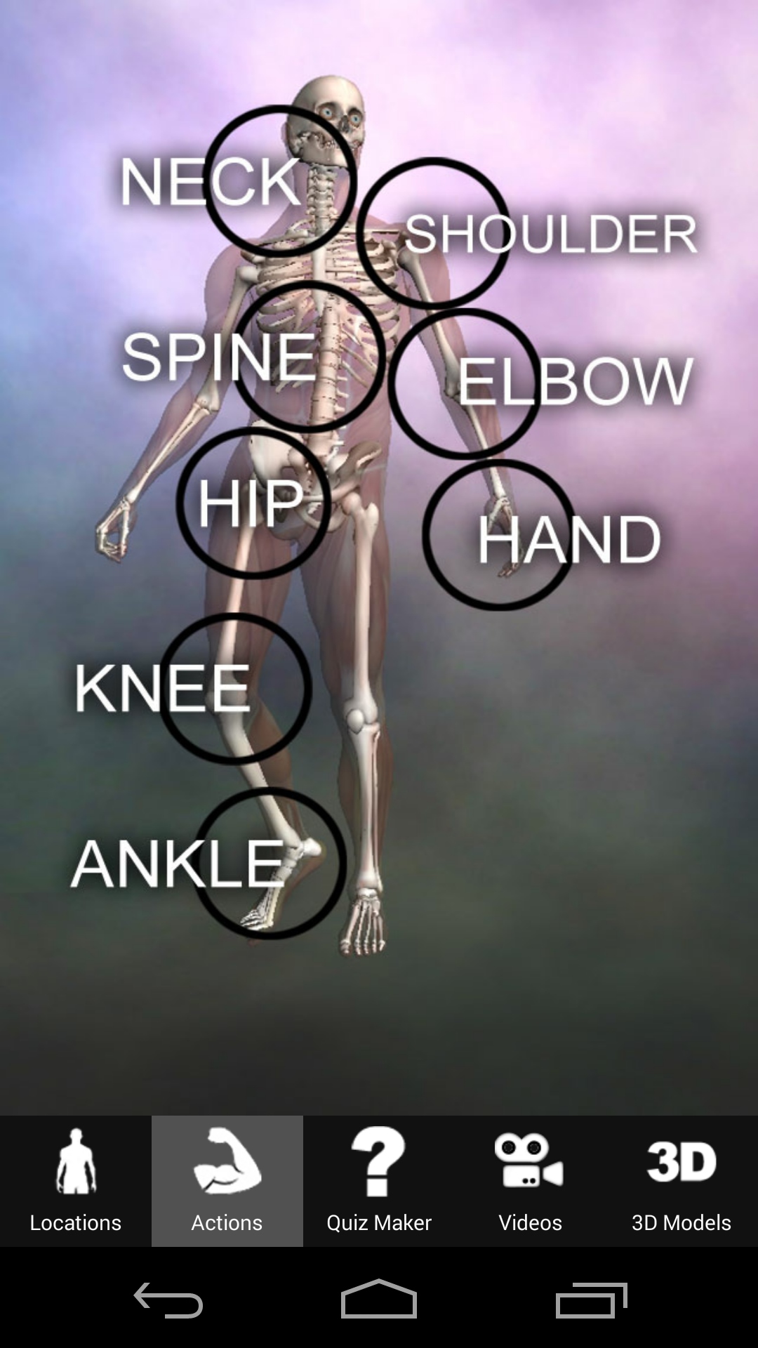 Learn Muscles: Anatomy:Amazon.de:Appstore for Android