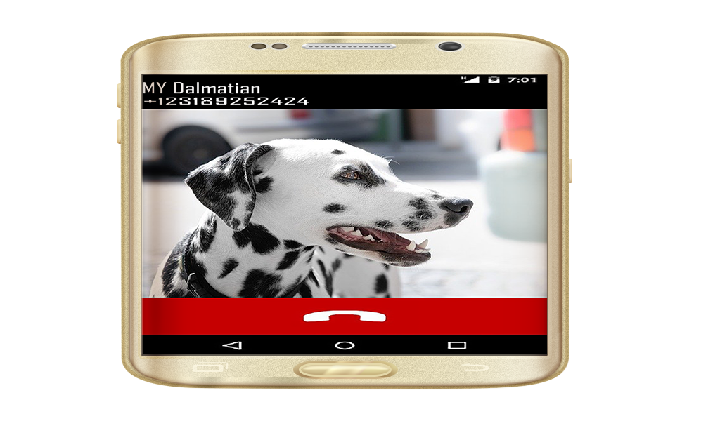 Dalmatian Fake Call Prank ( Funny Pet Calling Prank ) - Gag fake Prank ...