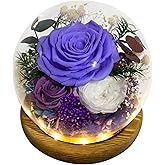 Amazon.com: Valley of Rain & Forest Long-Lasting Real Flowers, Unique ...