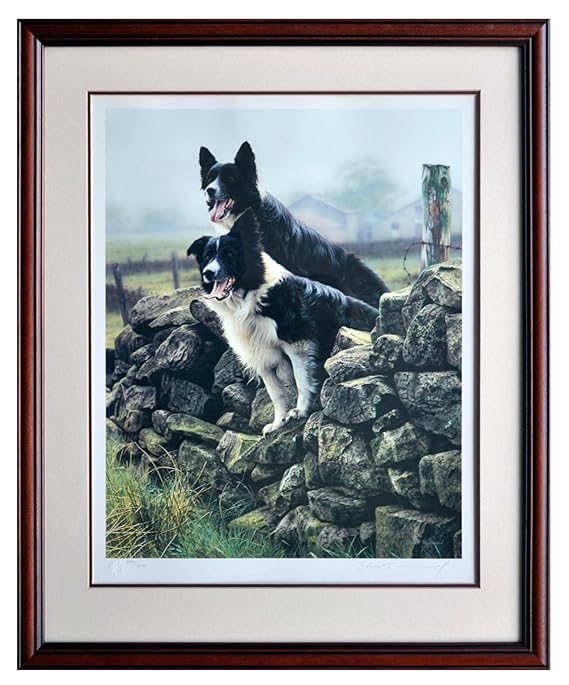 Steven Townsend - RARING TO GO Border Collie. Rare 'Sold Out' Signed ...