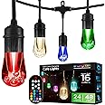 Enbrighten Premium Color Changing String Lights, 48ft Black Cord, 24 ...
