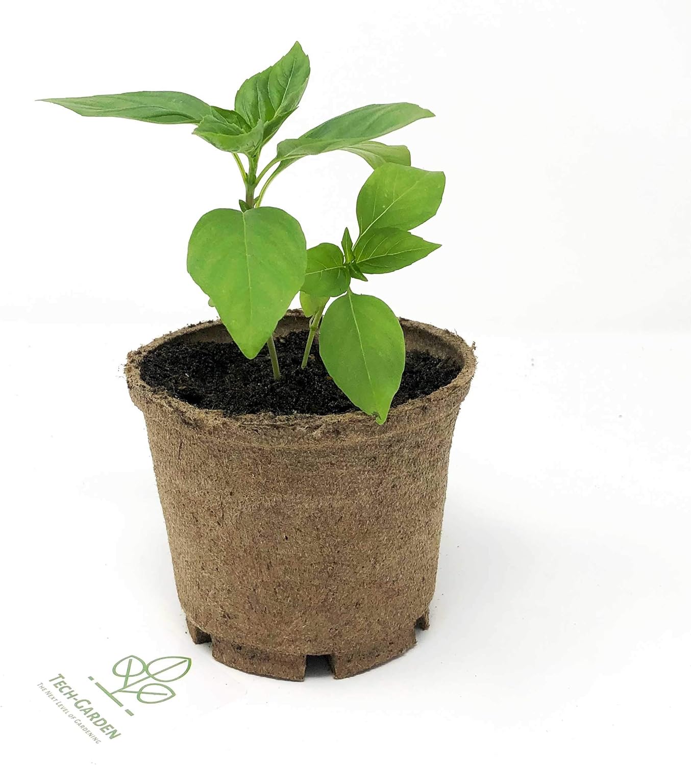 Tech-Garden 21 Pack of – 10 cm Biodegradable Biopot Plant Pots Eco ...