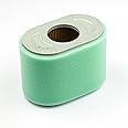 Amazon.com : Briggs and Stratton 797032 Air Filter : Patio, Lawn & Garden