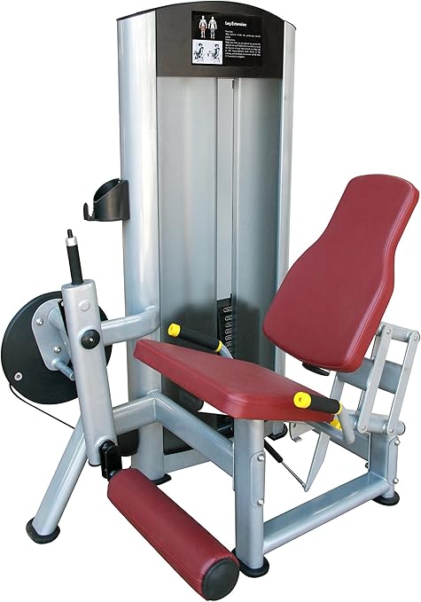 Grupo Contact Maquina cuadriceps, Profesional de Pierna: Amazon.es ...