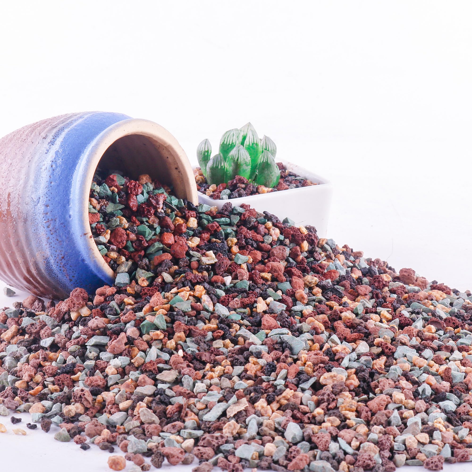 Mua 2.4LB Mix Lava Rocks for Plants, Volcanic Rock Horticultural Lava ...