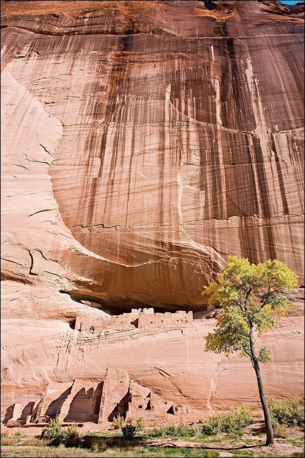 Amazon.com: Photograph of ancient Native American Homes Made Out of ...