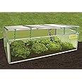 Amazon.com : Exaco BioStar 1500 Premium Cold Frame Gardening Tool, Pack of 1, Clear : Greenhouse ...