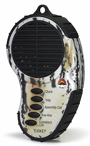 {The 10} Turkey Calls in 2024 [May Tested]