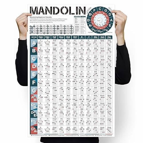 Mandolin Chord Chart Poster - 16''x24'' Wall Chart for Comprehensive ...