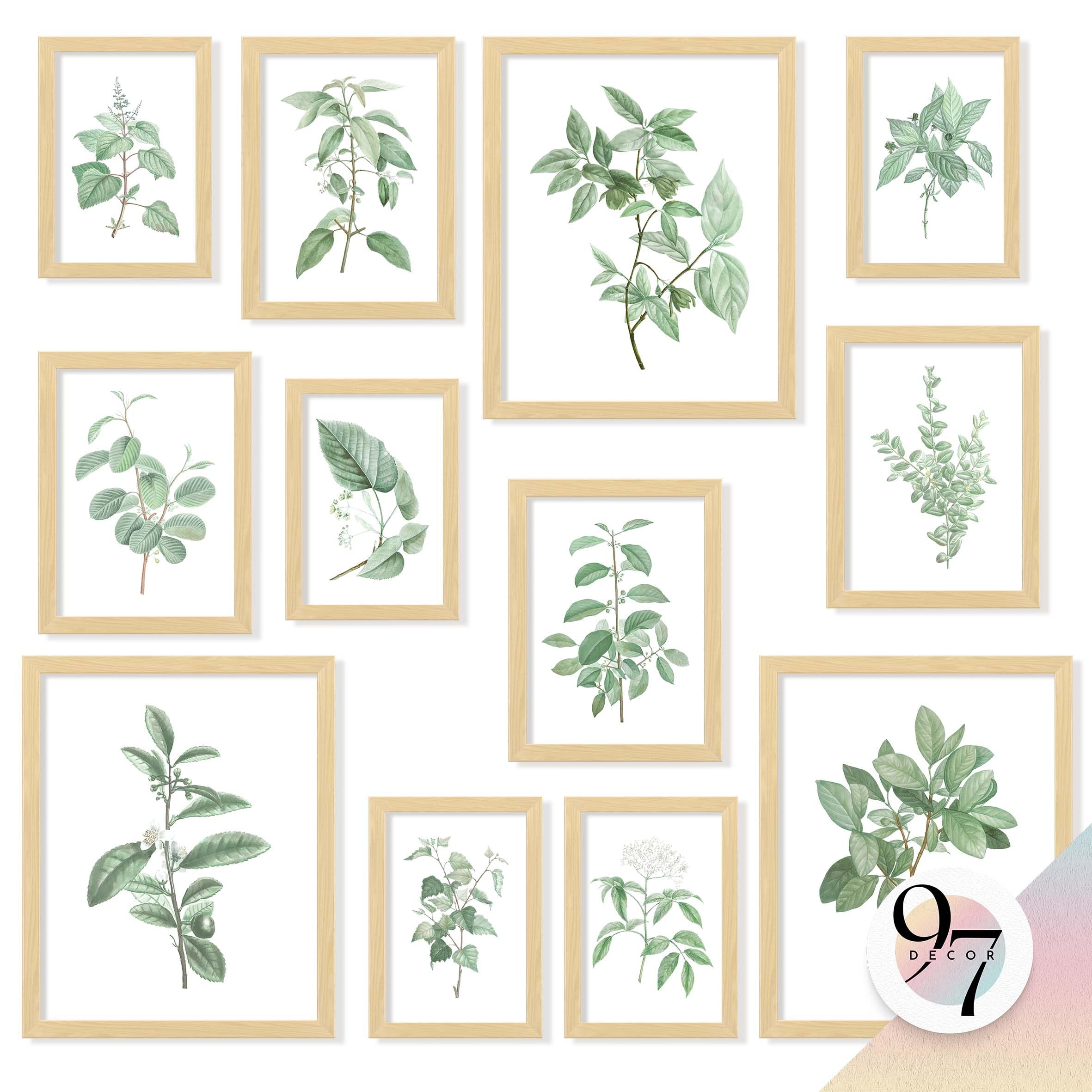 97 Decor Vintage Botanical Wall Art - Greenery Plant Posters For Room ...