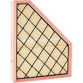 Amazon.com: ACDelco GM Original Equipment A3223C Air Filter : Automotive