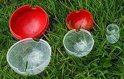 Cutting Globe Plant Propagator 11 Piece Set - Grow Roots on Plant ...