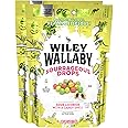 Amazon.com : Wiley Wallaby 6 Ounce Sourrageous Drops Mix of Watermelon ...