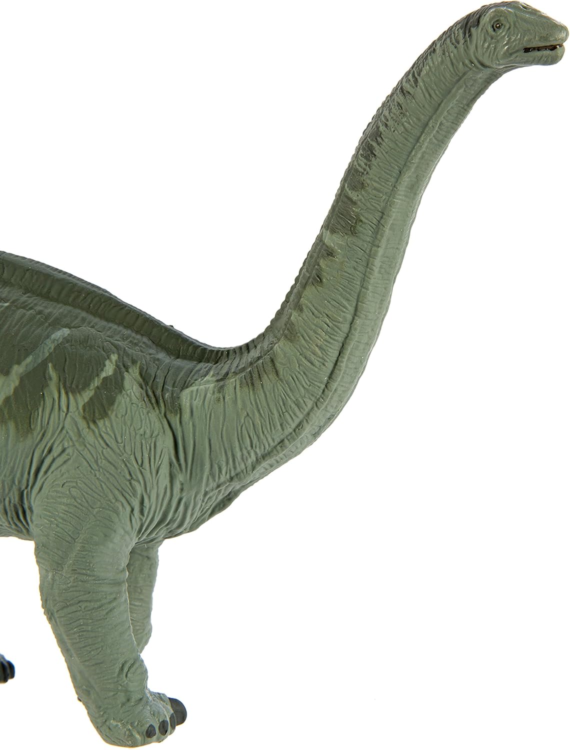 Safari Apatosaurus – BigaMart