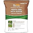 Amazon.com : The Andersons Professional Surge Weed and Feed 16-0-9 Post ...