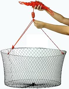 Amazon.com : Crabite Double Ring Wire Crab Hoop Pier Net Fishing ...
