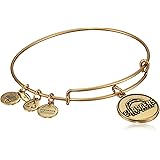 Amazon.com: Alex and Ani "NFL" San Francisco 49ers Logo Expandable Wire Rafaelian Gold-Tone ...