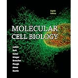 Molecular Biology of the Cell: Alberts, Bruce, Johnson, Alexander, Lewis, Julian, Morgan, David ...