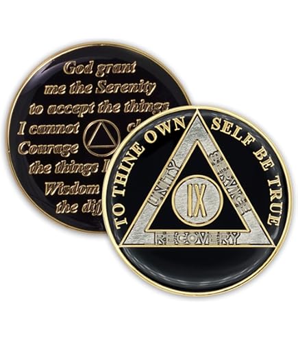 Aa Medallion 9 Years 6 Month Bill & Bob Founders Edition Bronze AA ...