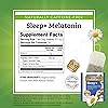 Twinings Superblends Sleep+ Herbal Tea with 1mg Melatonin, Camomile ...