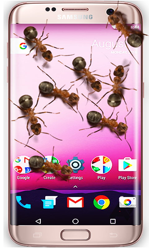 Ants On Screen:Amazon.co.uk:Appstore for Android