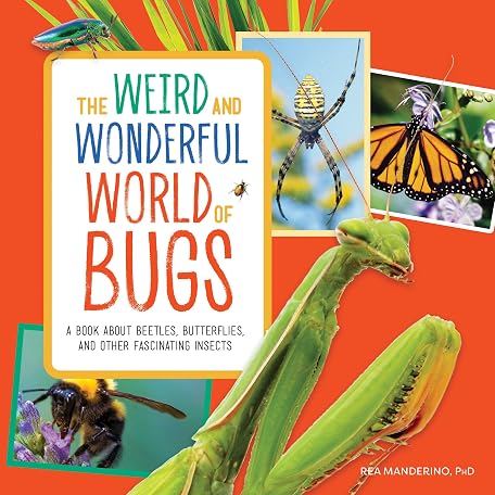 Mua The Weird and Wonderful World of Bugs: A Book About Beetles ...