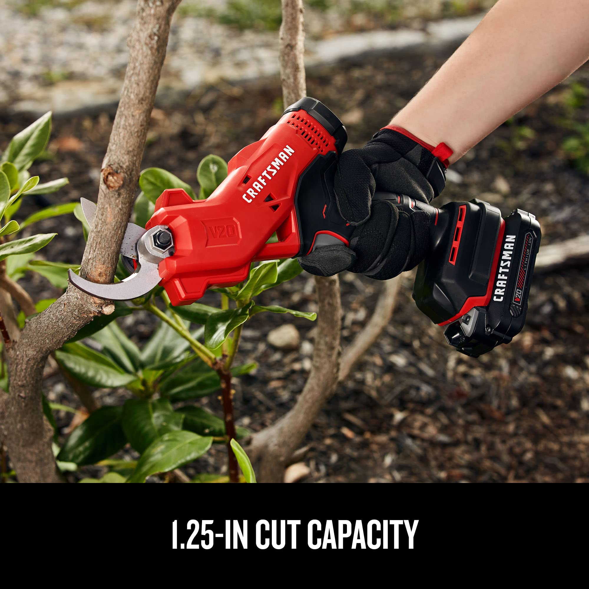 Mua CRAFTSMAN 20V MAX Cordless Electric Pruner, Pruning Shears for ...