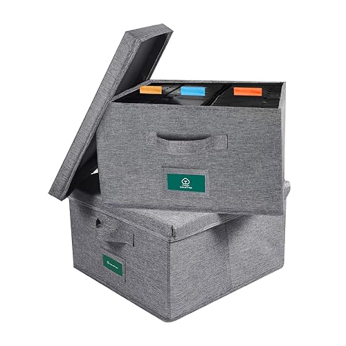 TWAVETREE VHS Storage Box with Lid pack of 2, Practical VHS Storage ...