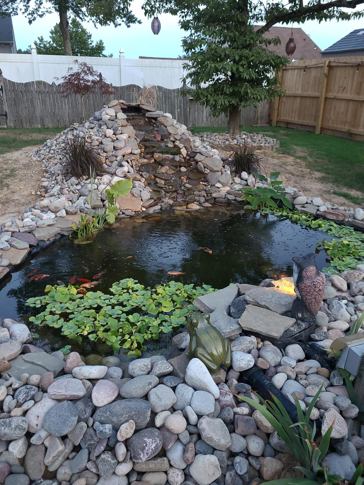 $70/mo - Finance Simply Ponds 3000 Complete Water Garden and Pond Kit ...