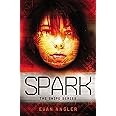 Amazon.com: Spark (Swipe Series): 9781400321988: Angler, Evan: Books