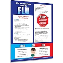 Flu Poster