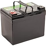 Amazon.com: Interstate Batteries 12V 35Ah Deep Cycle Battery (DCM0035L ...