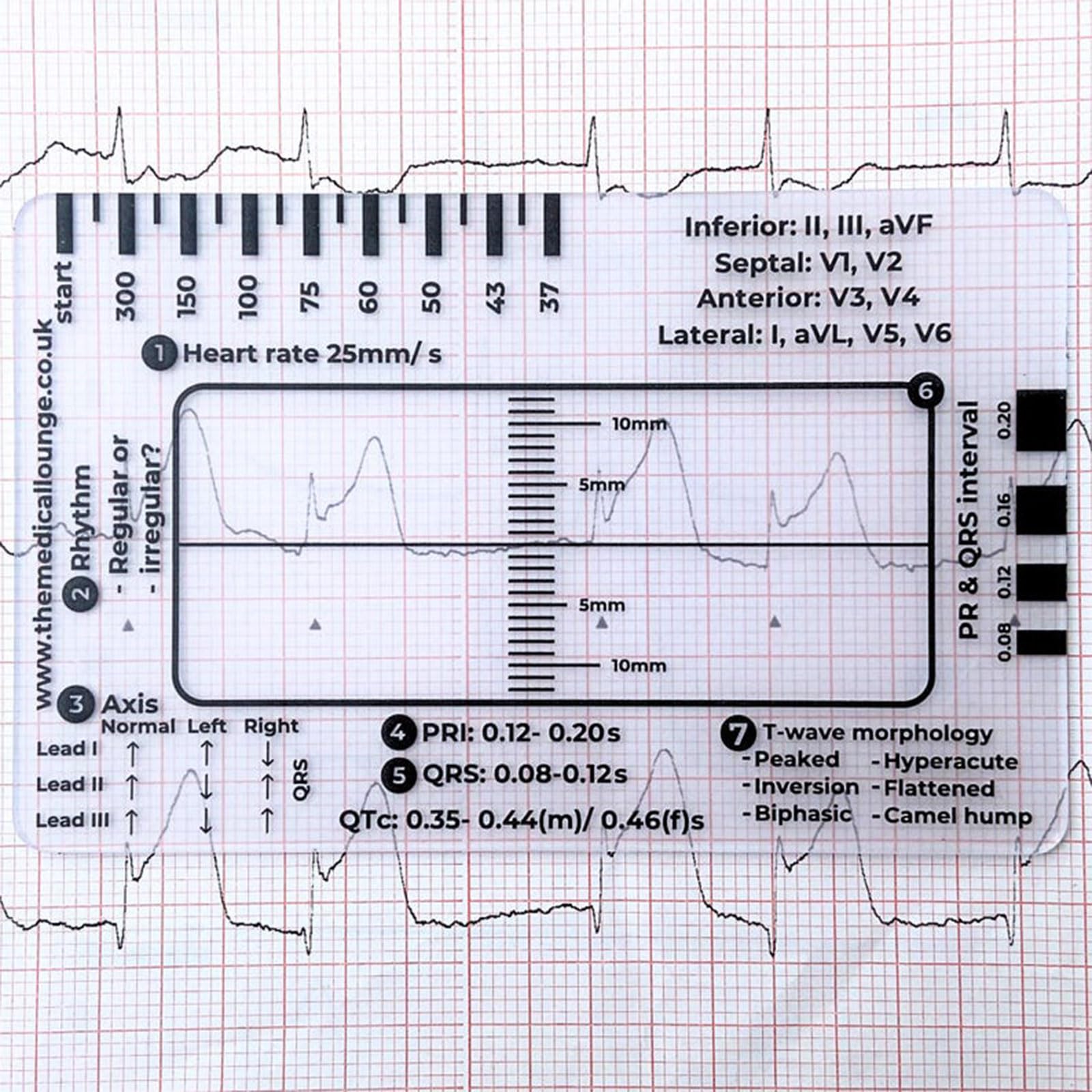 ECG 7 Step Ruler, ECG 7 Step Ruler for ECG/EKG Interpretation, EKG ...