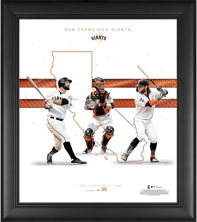 San Francisco Giants Framed 15" x 17" Franchise Foundations Metallic ...