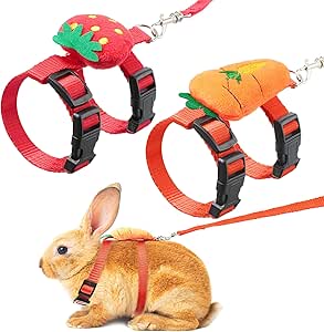 Amazon.com : 2 Pack Adjustable Rabbit Harness and Leash Bunny Harness ...