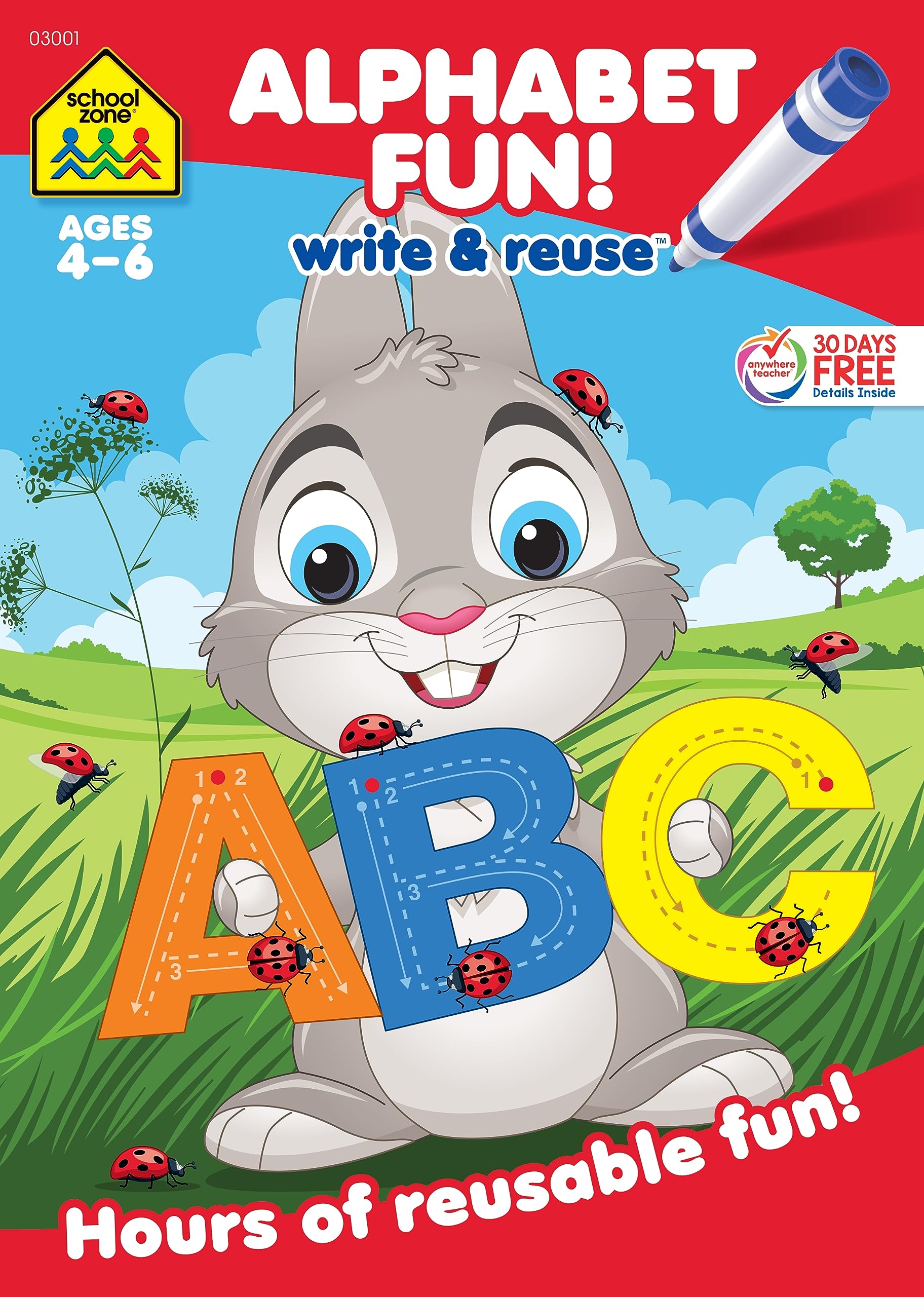 Mua School Zone - Alphabet Fun! Write & Reuse Workbook - Ages 4 to 6 ...