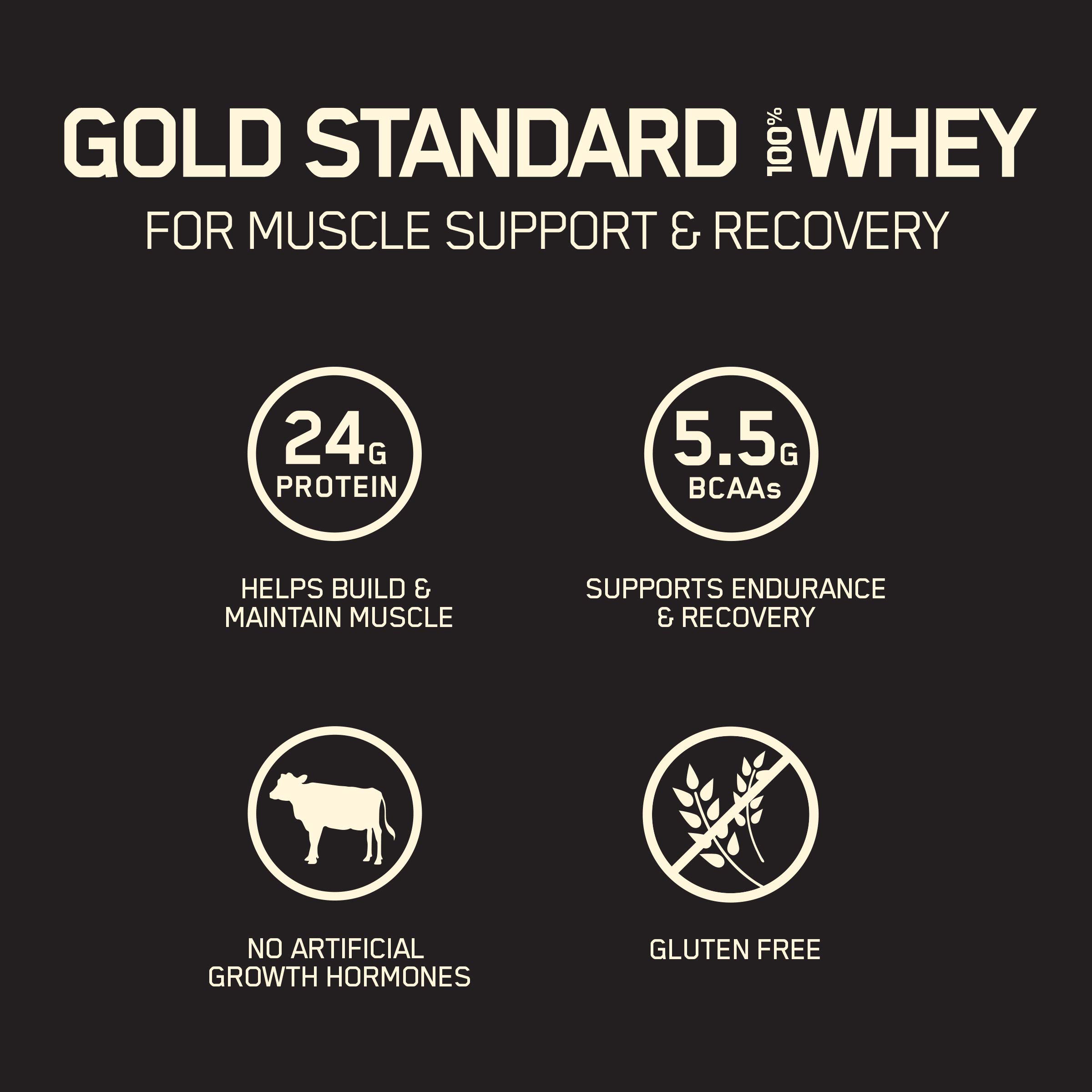 Optimum Nutrition Gold Standard 100% Whey Protein Powder, Double Rich ...